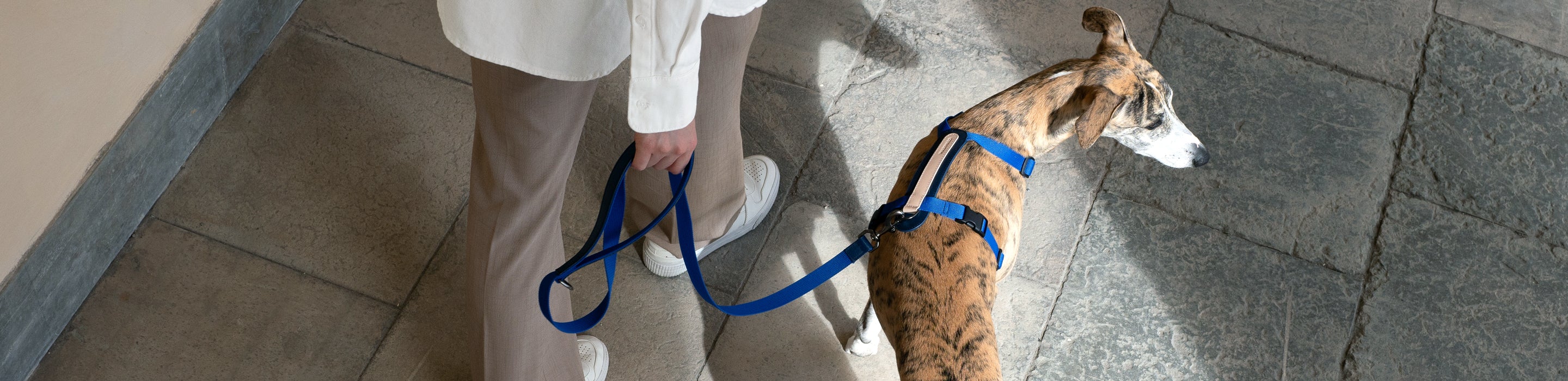 Scandinavian Design Dog Harness with perfect fit - Masimalo