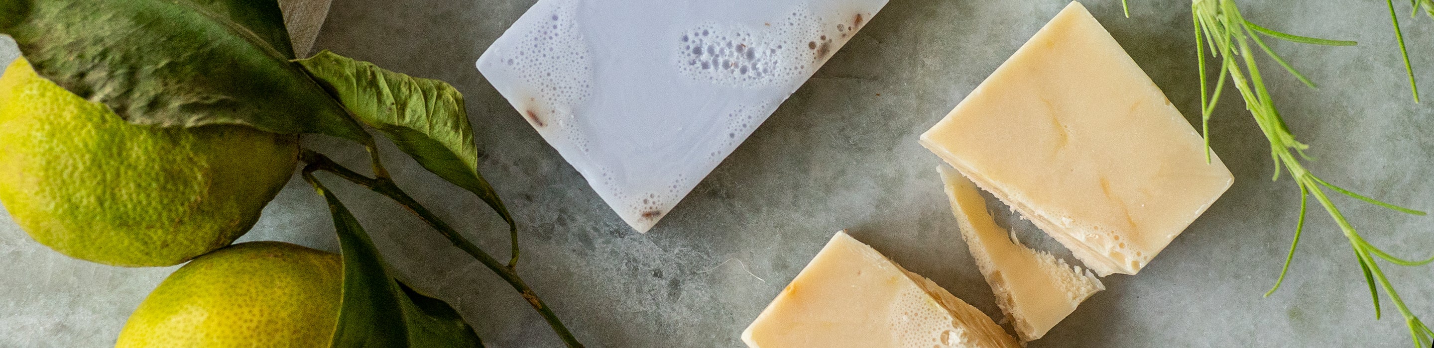 Natural dog shampoo for bathing and caring for dogs - Masimalo