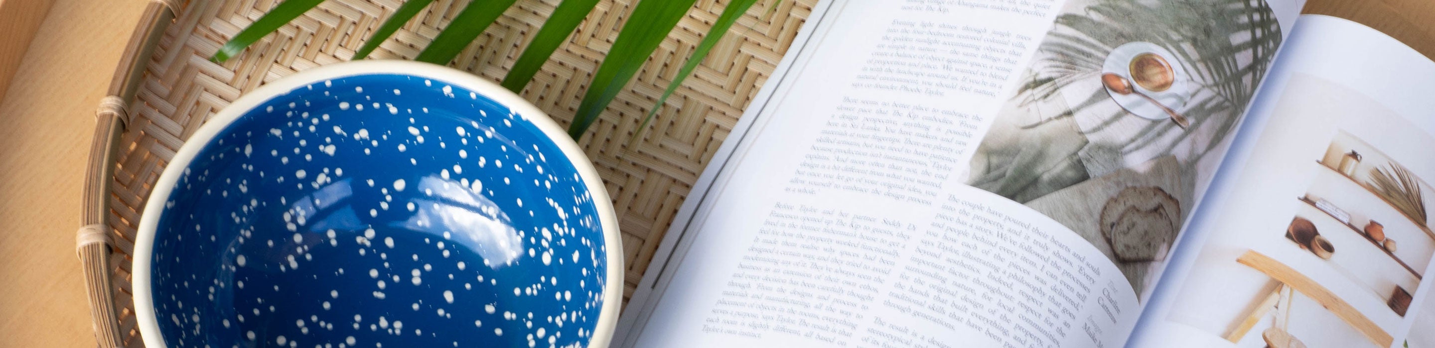 Dog bowls and dog toys designed to fit your home - Masimalo