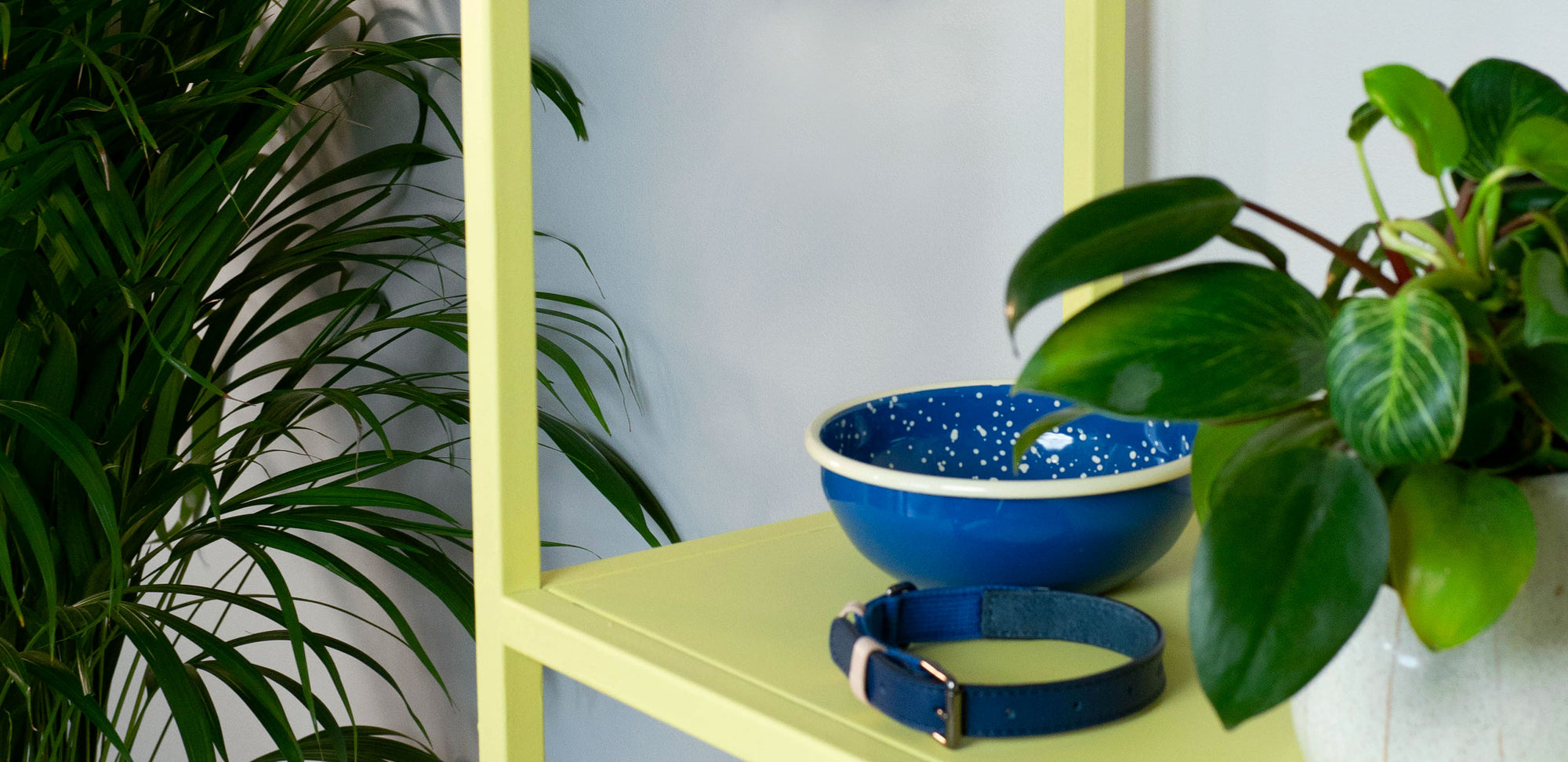 Masimalo® officiella webbplats | Fina saker för hundar och deras människor